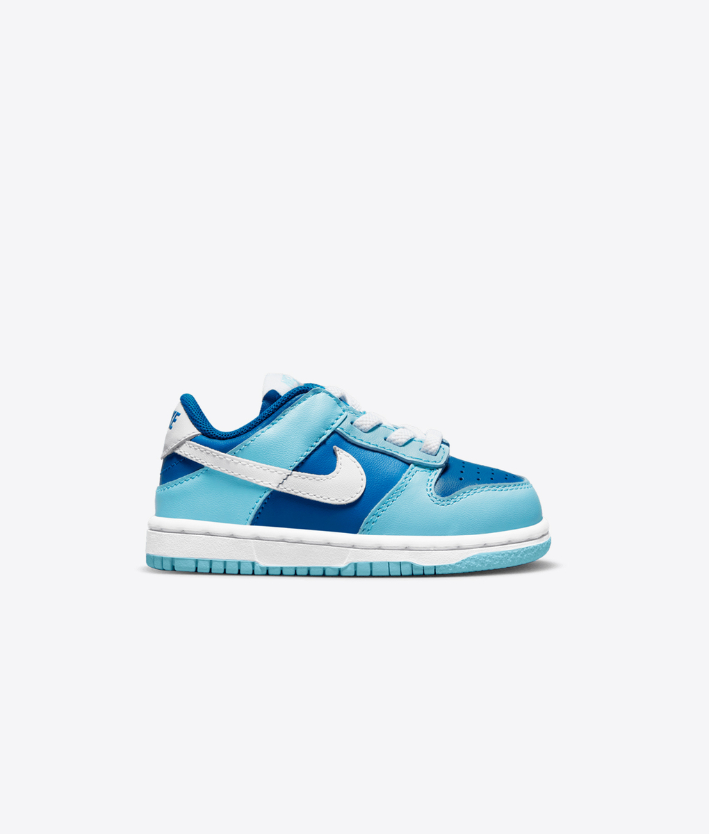 Nike - Dunk Low Retro Qs Tde - VegNonVeg
