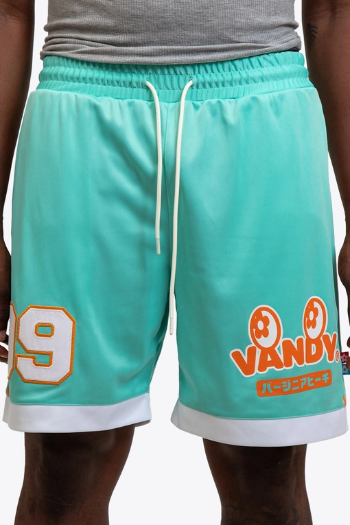 Vandy The Pink - Vandy The Pink Basketball Short Teal | Buy Men's ...