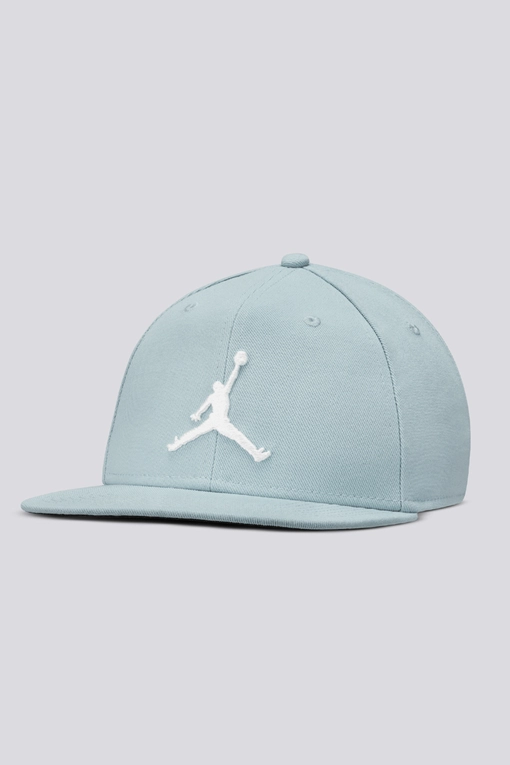 Jordan - Jordan Pro Jumpman Snapback - VegNonVeg